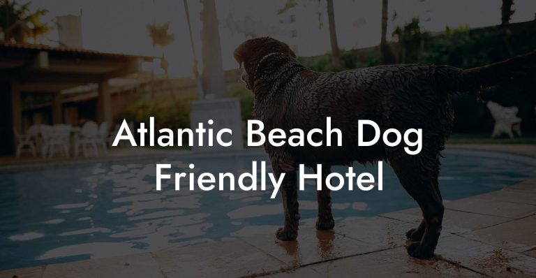 Atlantic Beach Dog Friendly Hotel - Dog Hotels