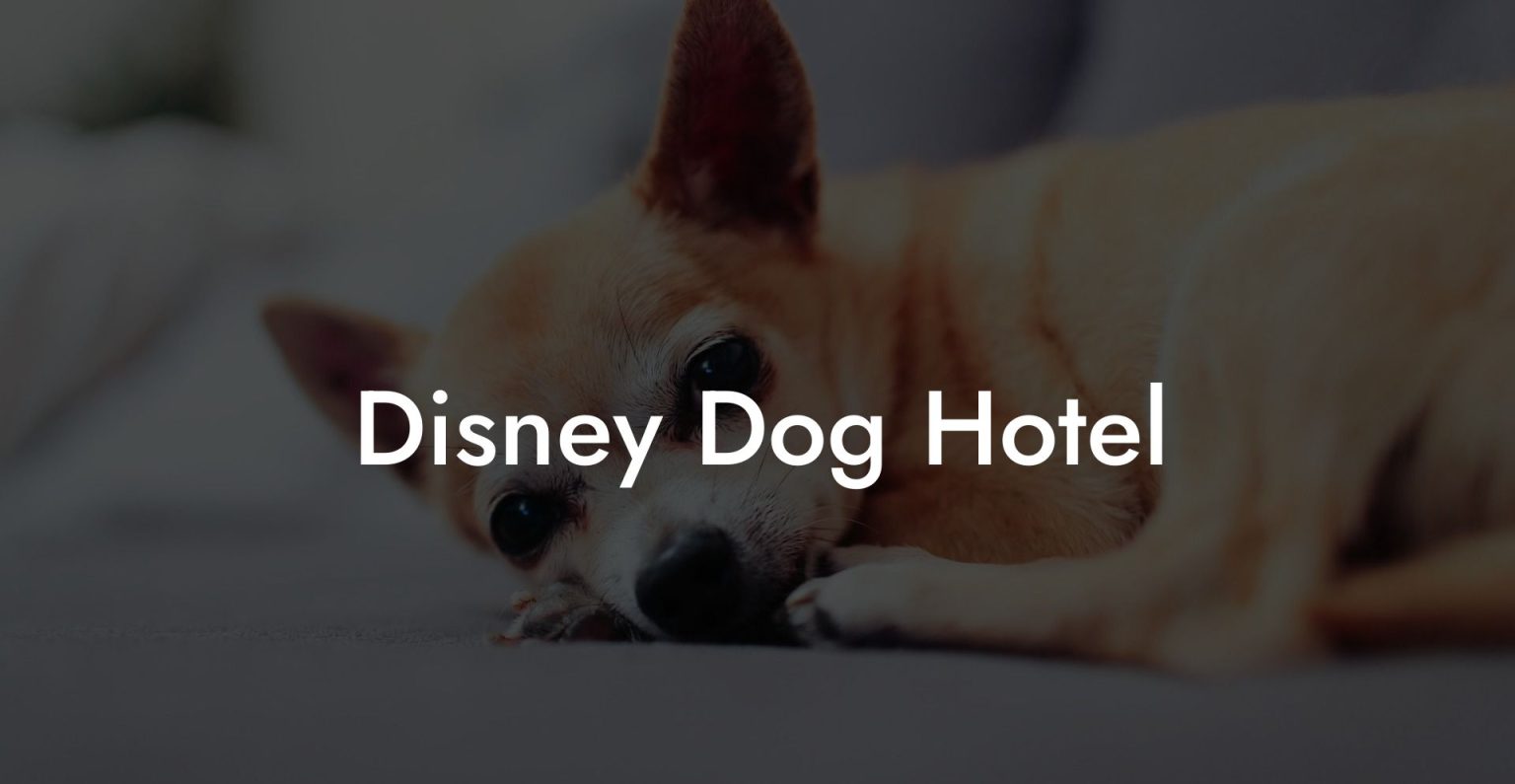 Disney Dog Hotel - Dog Hotels