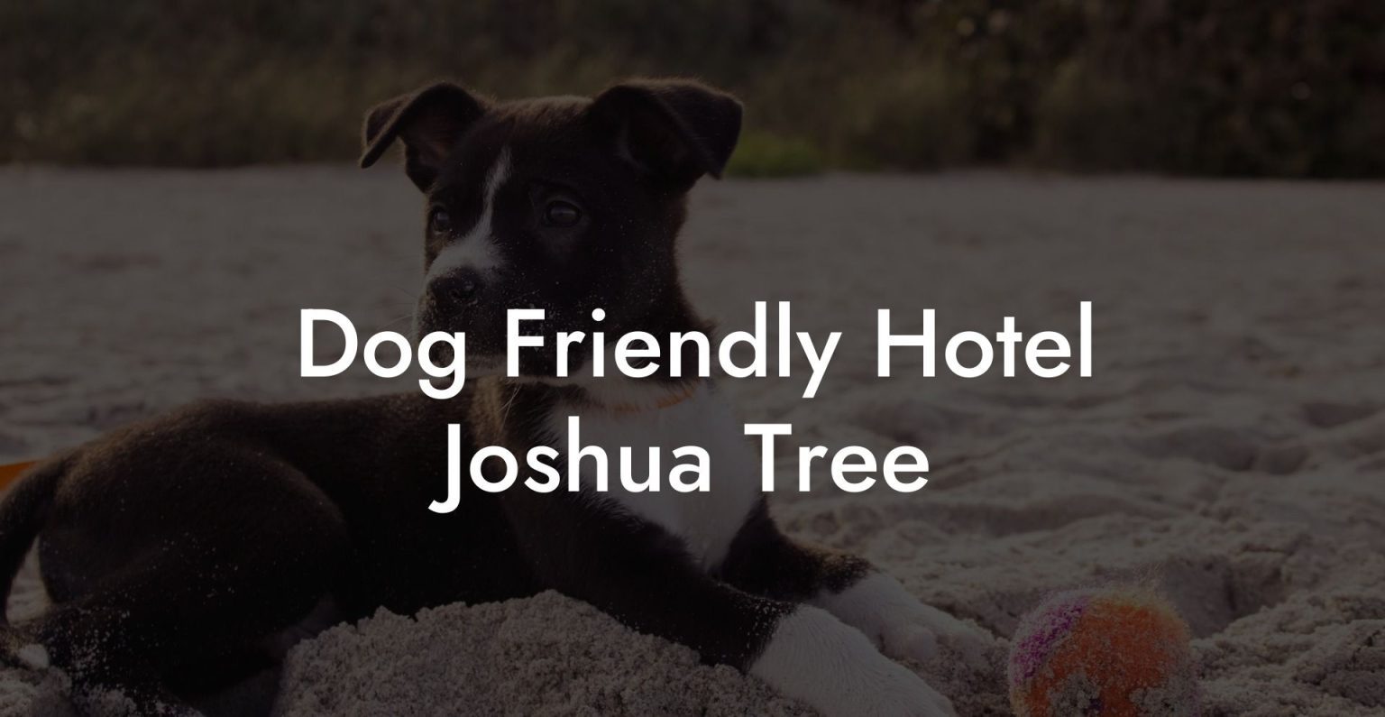 Dog Friendly Hotel Joshua Tree - Dog Hotels