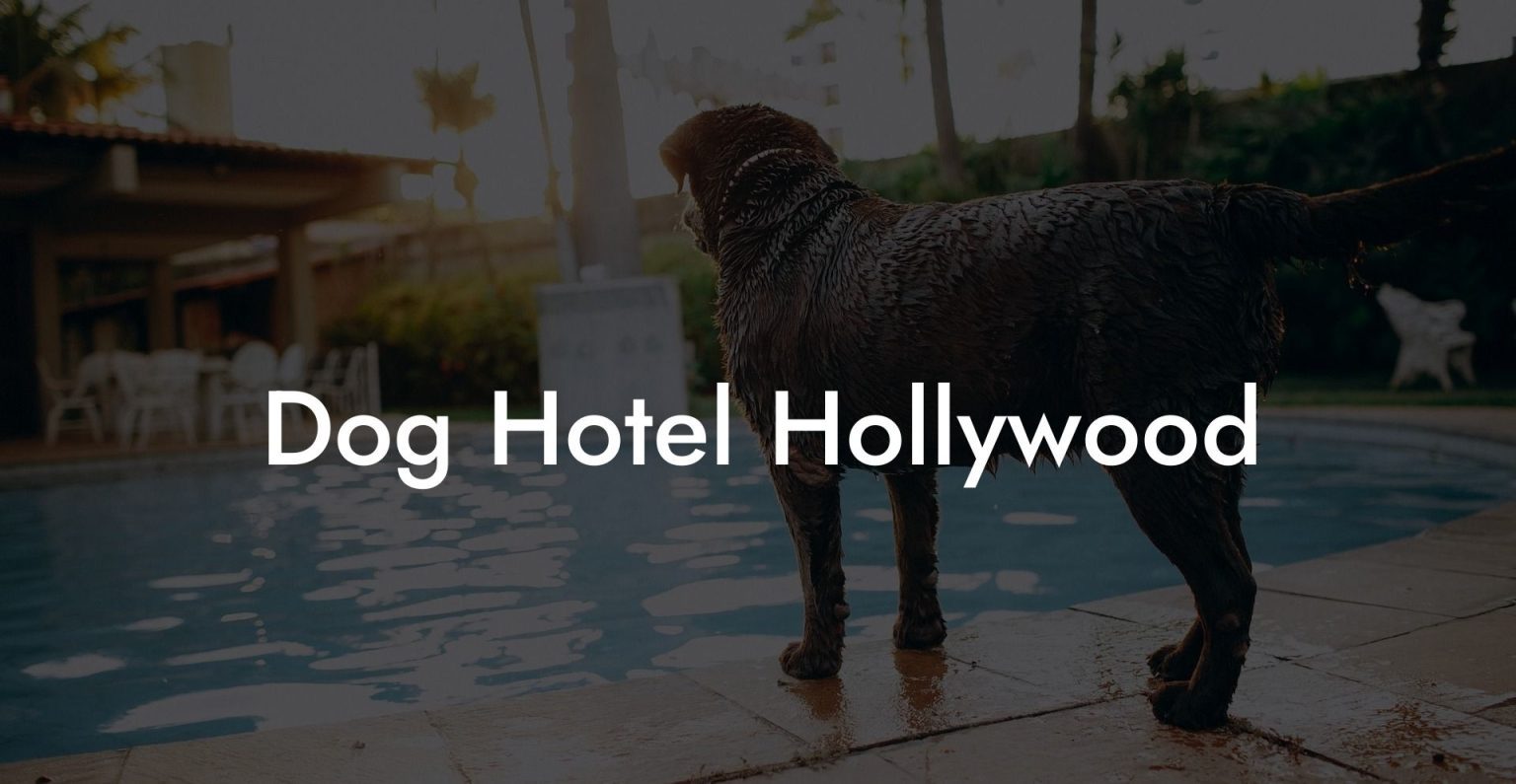 Dog Hotel Hollywood - Dog Hotels