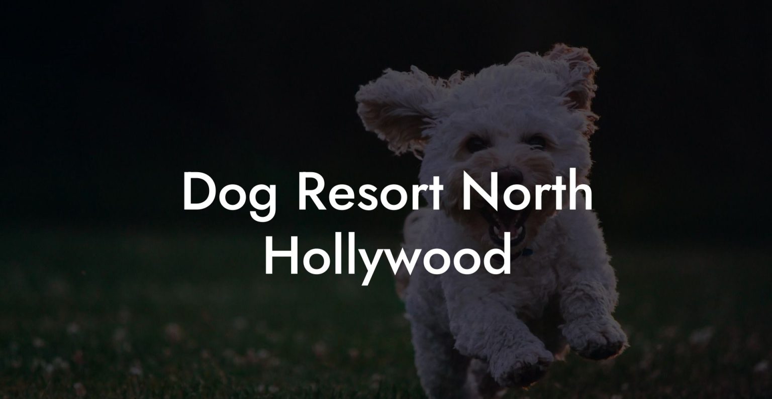 Dog Resort North Hollywood - Dog Hotels