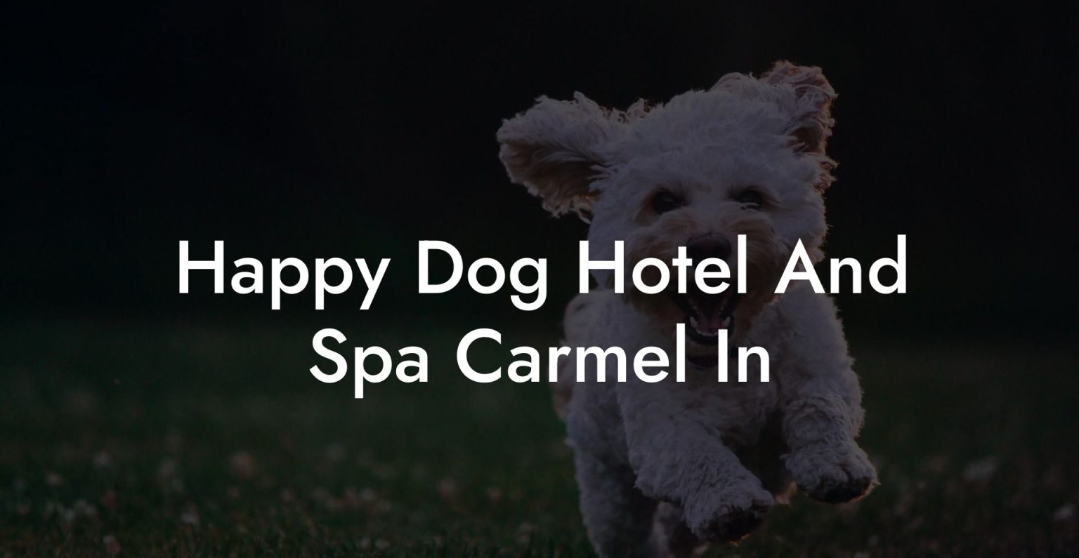 Happy Dog Hotel And Spa Carmel In - Dog Hotels