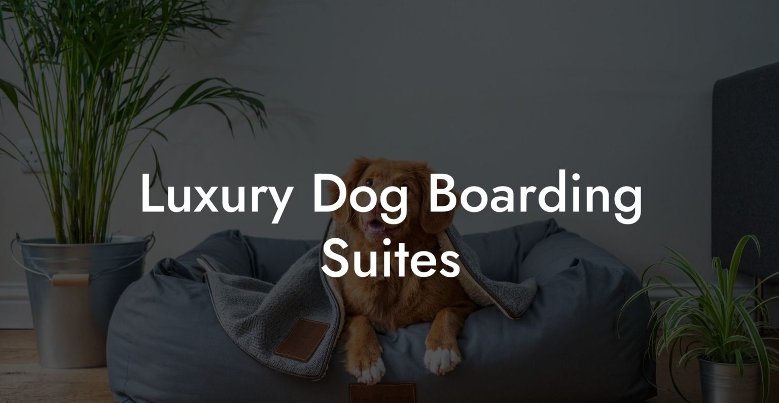 Luxury Dog Boarding Suites - Dog Hotels