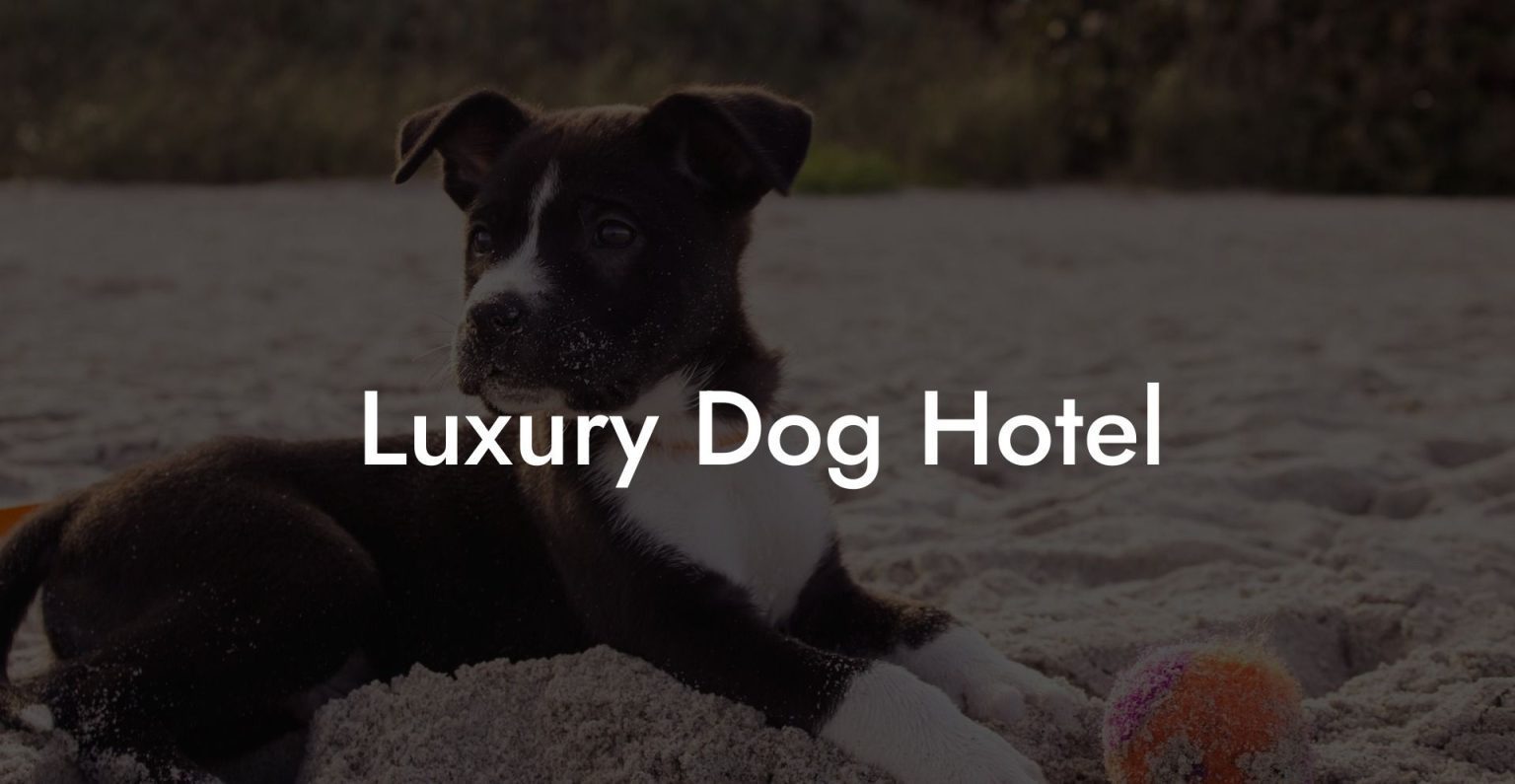 Luxury Dog Hotel - Dog Hotels