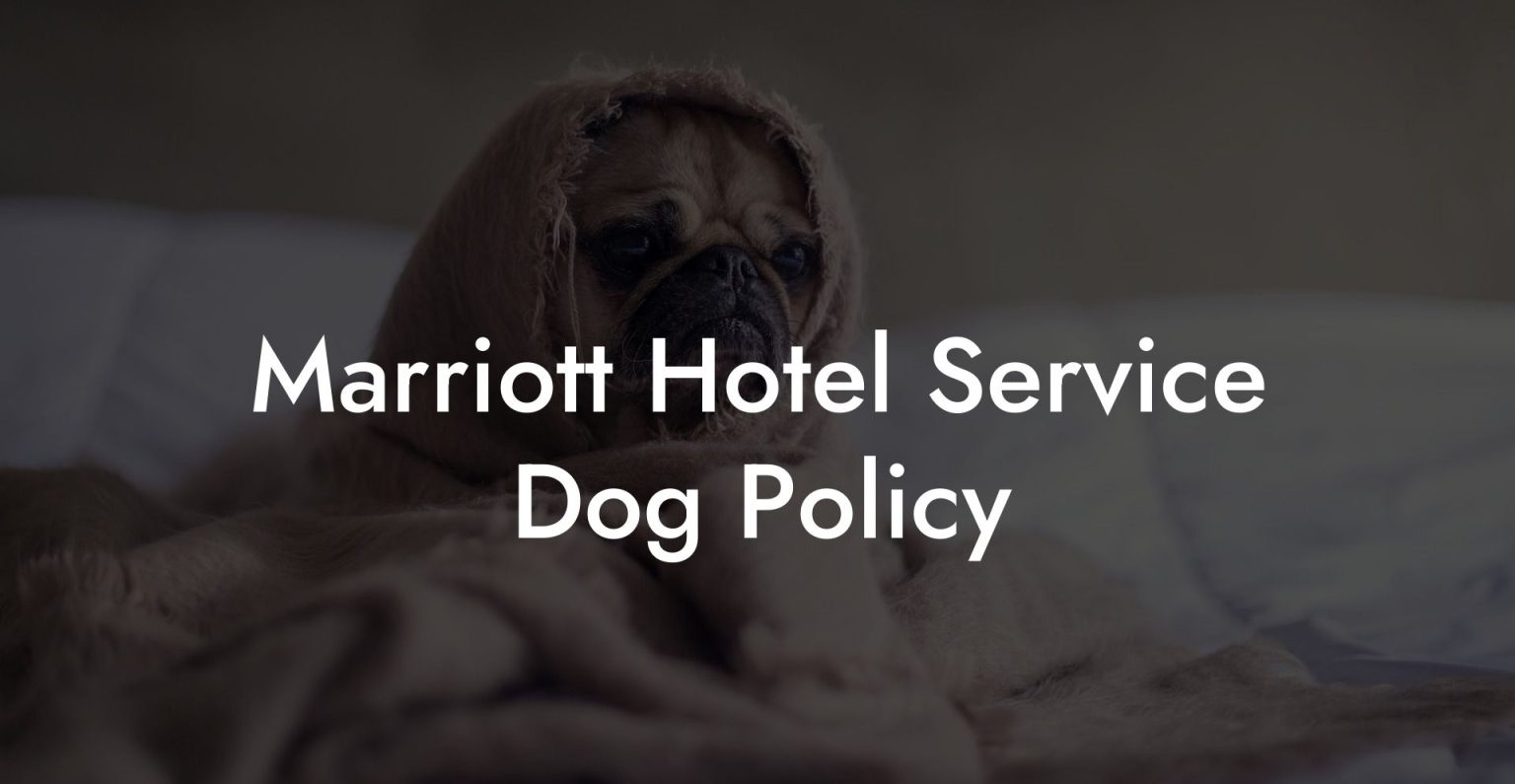 Marriott Hotel Service Dog Policy - Dog Hotels