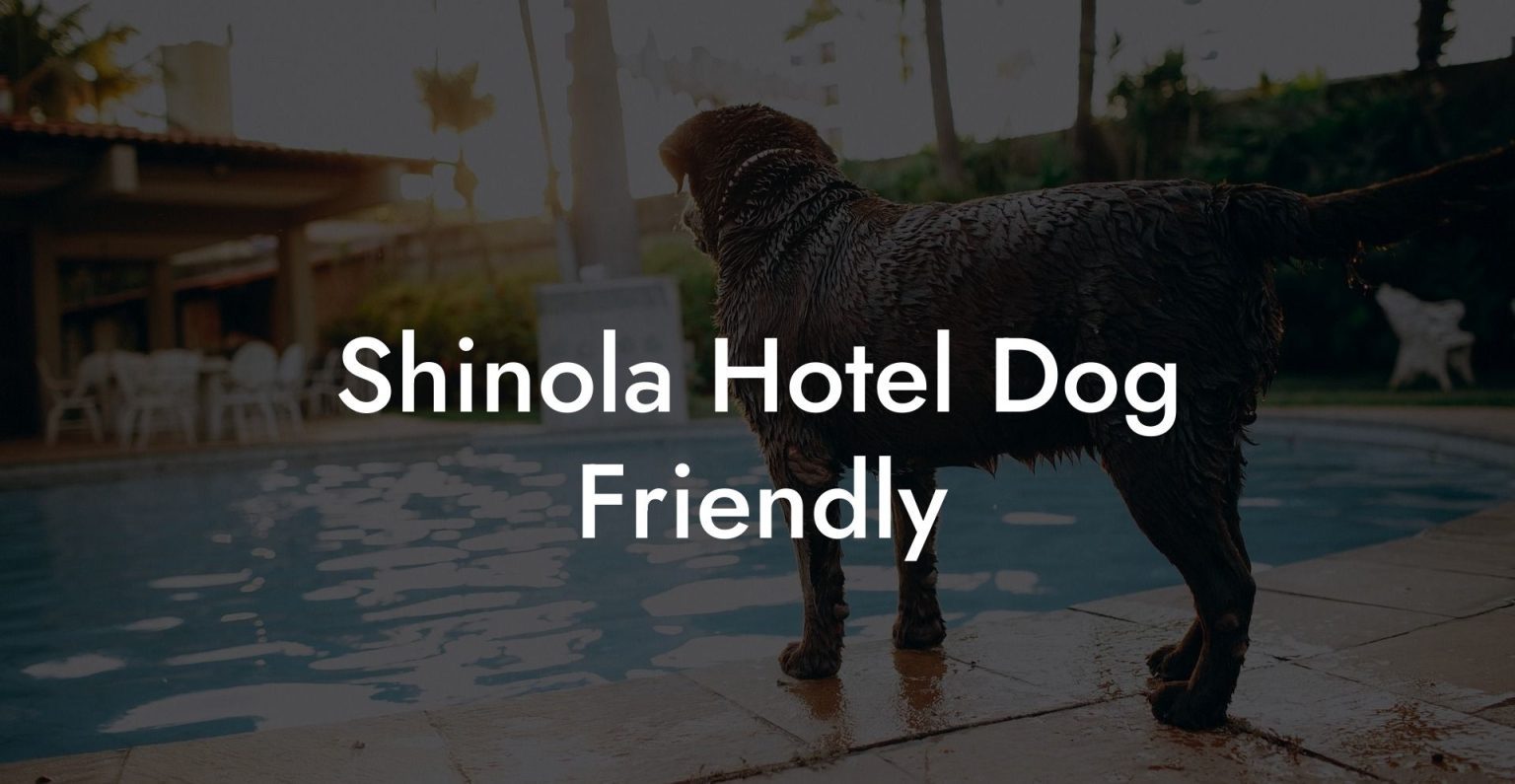 Shinola Hotel Dog Friendly - Dog Hotels