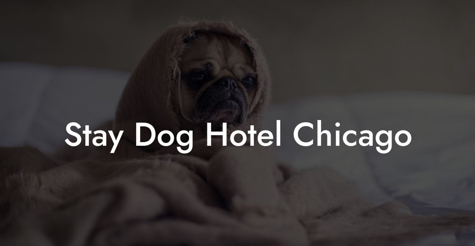 Stay Dog Hotel Chicago - Dog Hotels