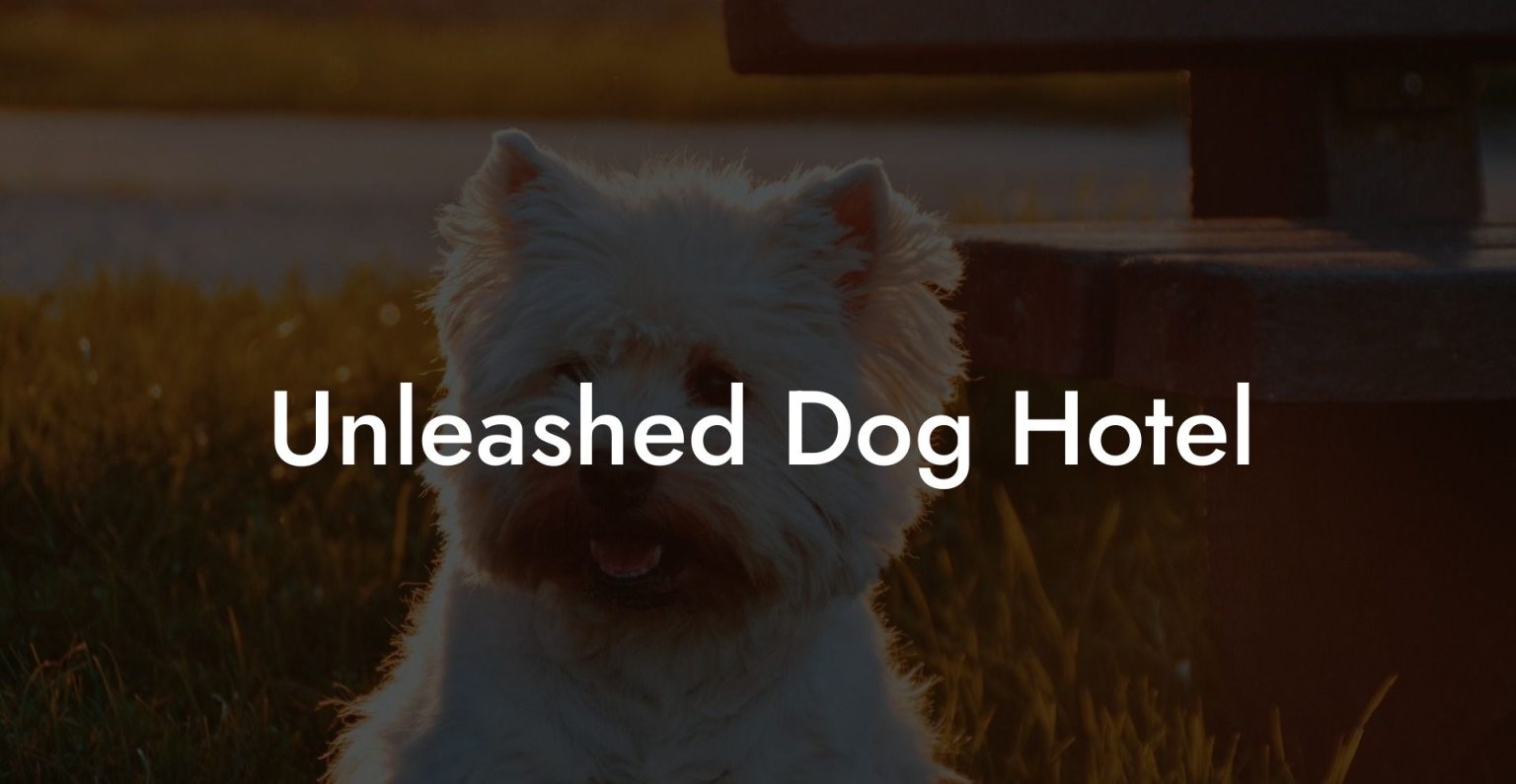 Unleashed Dog Hotel - Dog Hotels