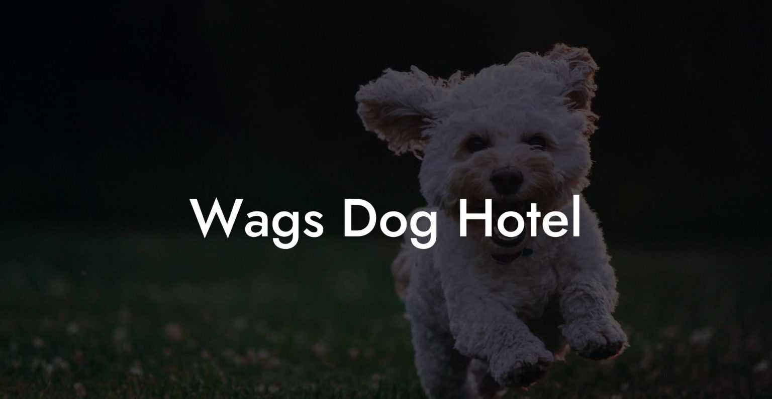 Wags Dog Hotel - Dog Hotels